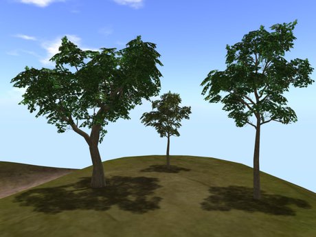 Second Life Marketplace - !!! 8 Trees