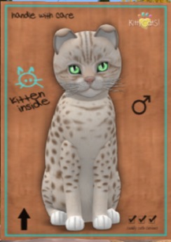Second Life Marketplace - KittyCatS Box - 8T