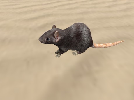Second Life Marketplace - SR.store mesh full perm House mouse animals
