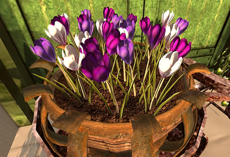 Second Life Marketplace - CJ Tricycle Planter with crocus + anim. Bird ...