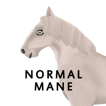 Second Life Marketplace - Gold Tricolor Clydesdale Eye: Plum Mane ...