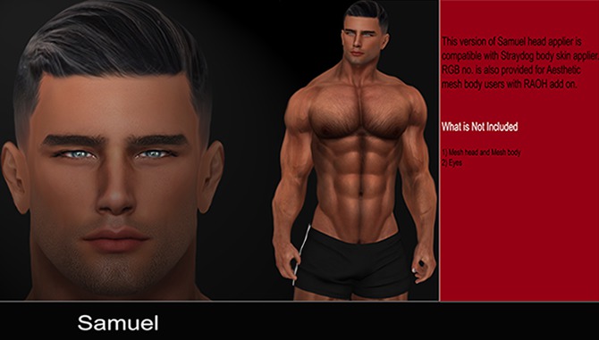 Second Life Marketplace - SAMUEL - MALE - SKIN - DEMO