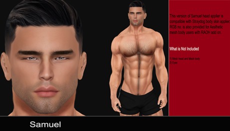 Second Life Marketplace - SAMUEL - MALE - SKIN - DEMO