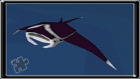 Second Life Marketplace - MANTA RAY / Animal / Animated / Aquarium ...