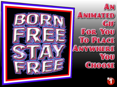 Second Life Marketplace - #1 STORE ★★★★★★ BORN FREE gif ★★★★★★★ ONLY L ...