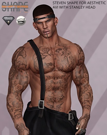 Second Life Marketplace - [SHAPEshifters] STEVEN SHAPE AESTHETIC AVI ...