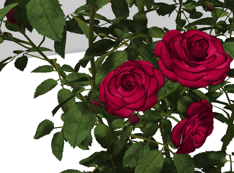 Second Life Marketplace - Art Studio.FULL PERM - Rose Tree