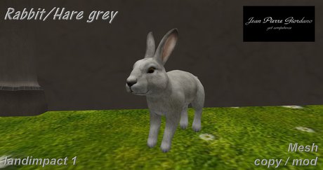 Second Life Marketplace - Rabbit/Hare grey mesh