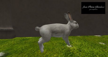 Second Life Marketplace - Rabbit/Hare grey mesh