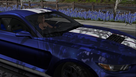 Second Life Marketplace - FORMO - Driving 001