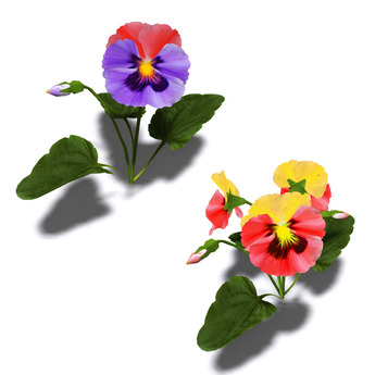 Second Life Marketplace - [ Full Perm ] Beautiful Pansy
