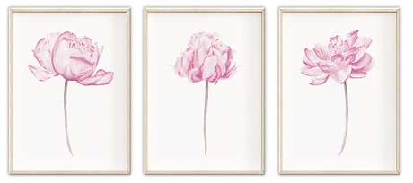 Second Life Marketplace - Wall Decor - Pink Floral Trio