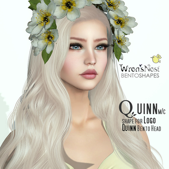 Second Life Marketplace - { wren's nest } Quinn shape for LOGO Quinn ...