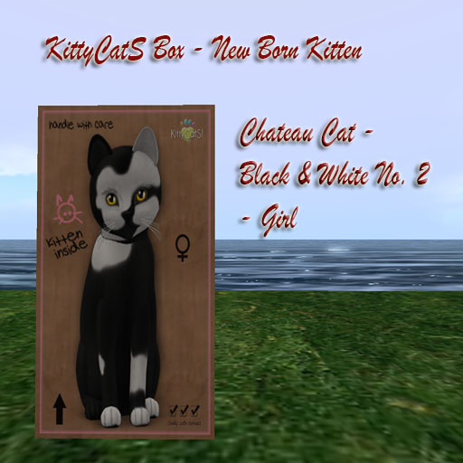 Second Life Marketplace - Chateau Cat - Black & White No. 2 - Girl