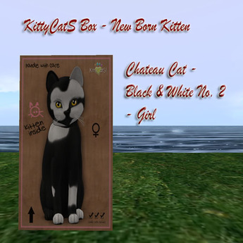 Second Life Marketplace - Chateau Cat - Black & White No. 2 - Girl
