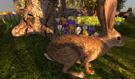 Second Life Marketplace - CJ Spring Scene 01 ~ copy + mody ~ 11 diff. Sits