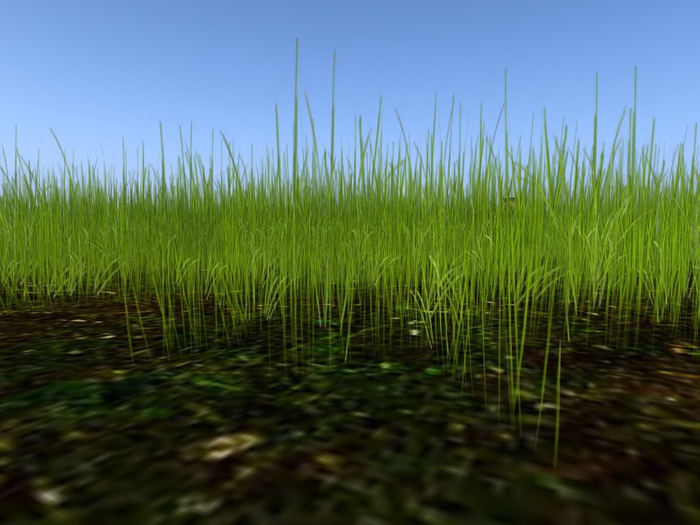 Second Life Marketplace - Mesh Fairy Grass