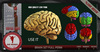 Second Life Marketplace - Brain Set Full Perm / Efe Design