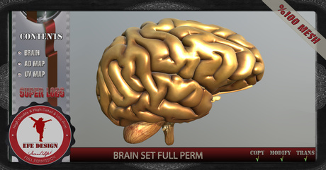Second Life Marketplace - Brain Set Full Perm / Efe Design