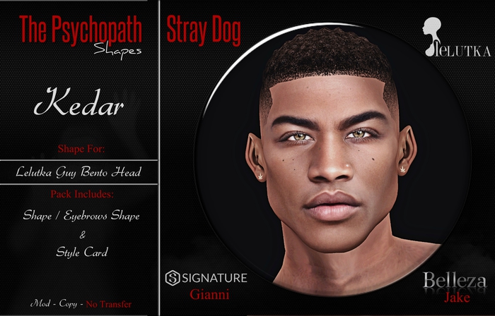 Second Life Marketplace - [ Kedar Shape ] - For Lelutka Guy Bento Head