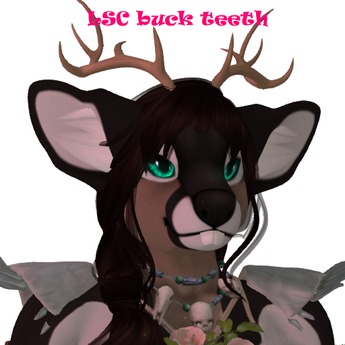 Second Life Marketplace - {LSC}- buck teeth (BOXED)