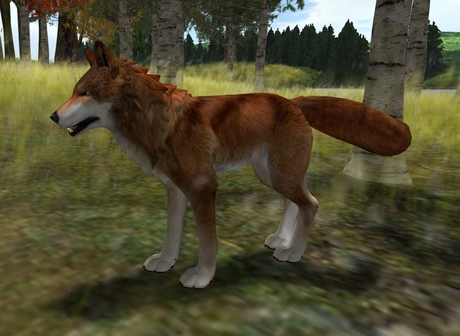 Second Life Marketplace - The Texture Barn - Dark Red for TWI Mesh Wolf ...