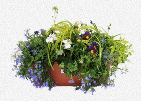 Second Life Marketplace - Flower Planter Box Texture.png