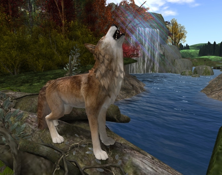 Second Life Marketplace - The Texture Barn - Red Sable for TWI Mesh ...