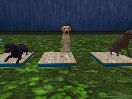 Second Life Marketplace - Yellow Lab animated with interactive pillow-crate