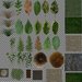 Second Life Marketplace - @MA@ TEXTURES leaf plant tga textures