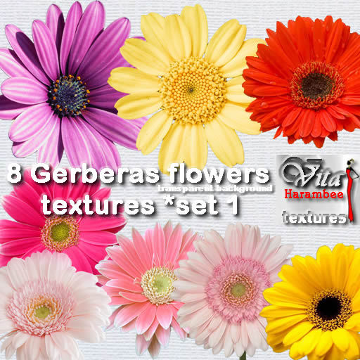 Second Life Marketplace - 8 Gerberas flowers FP set1