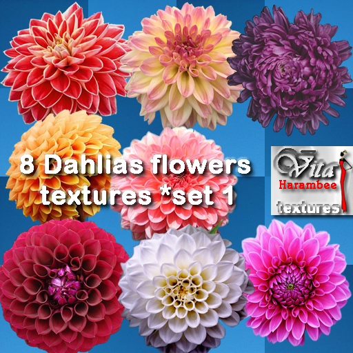 Second Life Marketplace - 8 Dahlias flowers FP set1