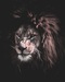 Second Life Marketplace - The Lion: King of Beasts