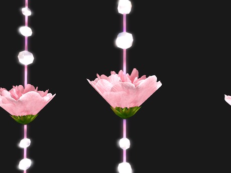 Second Life Marketplace - Flower String Curtain Pink