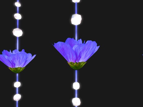 Second Life Marketplace - Flower String Curtain - Viola