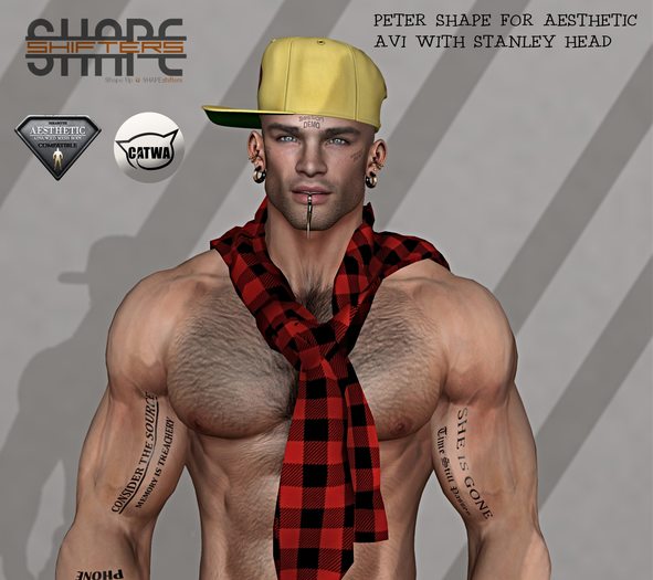 Second Life Marketplace - [SHAPEshifters] PETER SHAPE FOR AESTHETIC AVI ...