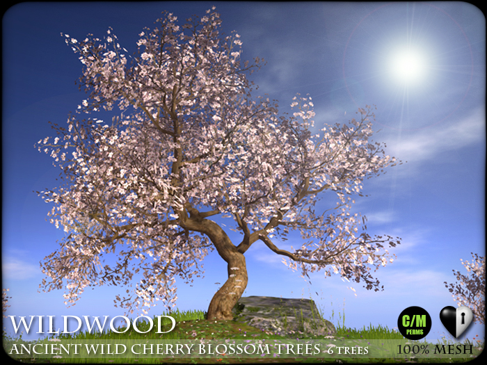 Second Life Marketplace - WILDWOOD - Ancient Cherry Trees