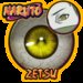 Second Life Marketplace - Shika's Zetsu Eyes (Includes Prim Eyes)