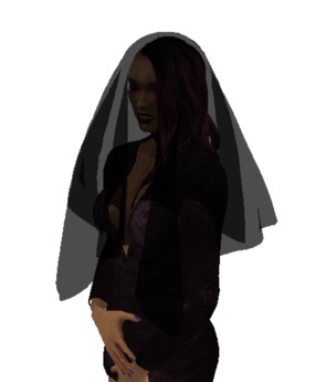 Second Life Marketplace - veil