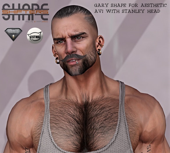 Second Life Marketplace - [SHAPEshifters] GARY SHAPE FOR AESTHETIC AVI ...