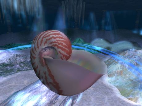 Second Life Marketplace - Nautilus ohm shell real