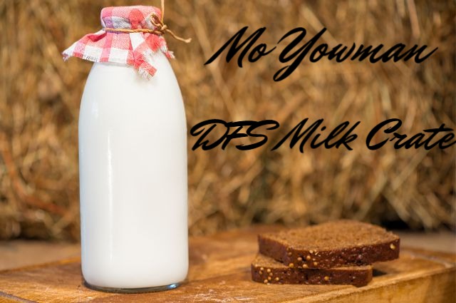 Second Life Marketplace - DFS Milk Crate x5