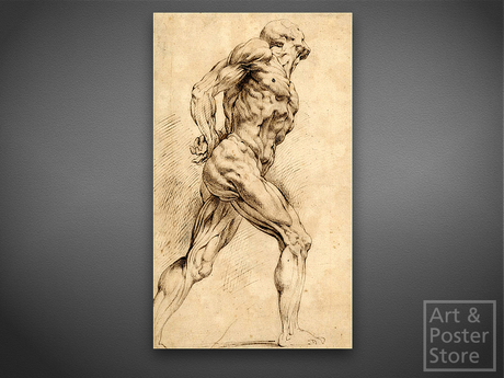 Second Life Marketplace - Rubens | Anatomical Study Classic Renaissance ...