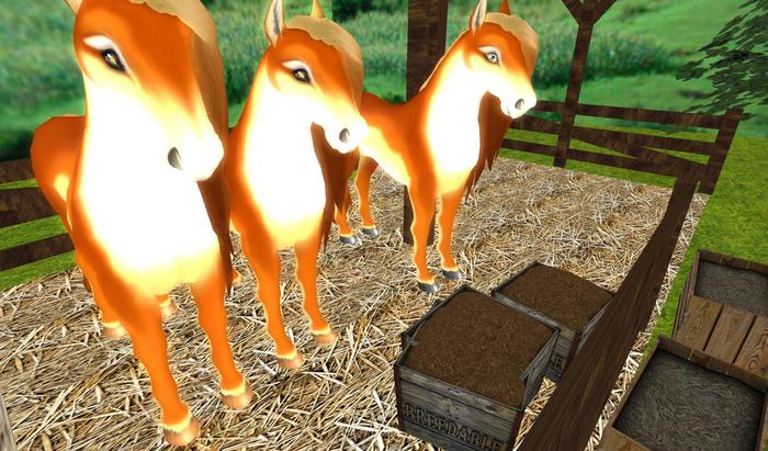 Second Life Marketplace - Amaretto Breedables Bundle-OVERO AMBER