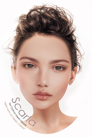 Second Life Marketplace - DeeTaleZ *Appliers* CATWA Head "Scarla ...
