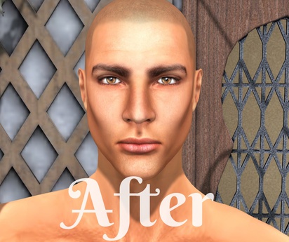 Second Life Marketplace - [YasiR] Altamura "AARON" FullBody BENTO Shape