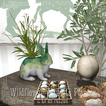 Second Life Marketplace - *pm* Wildflower Wabbits Planters: Pink & Blue
