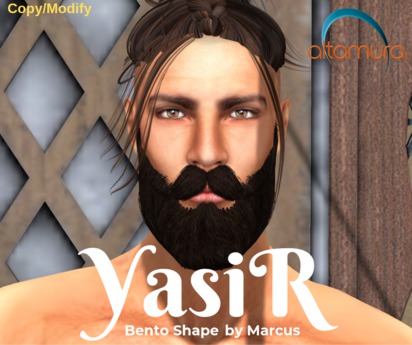 Second Life Marketplace - [YasiR] Altamura "AARON" FullBody BENTO Shape