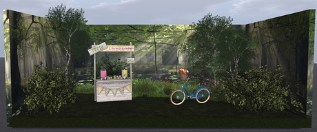 Second Life Marketplace - Photo Backdrop 023 by RB