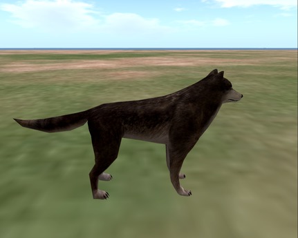 Second Life Marketplace - Wolf NPC